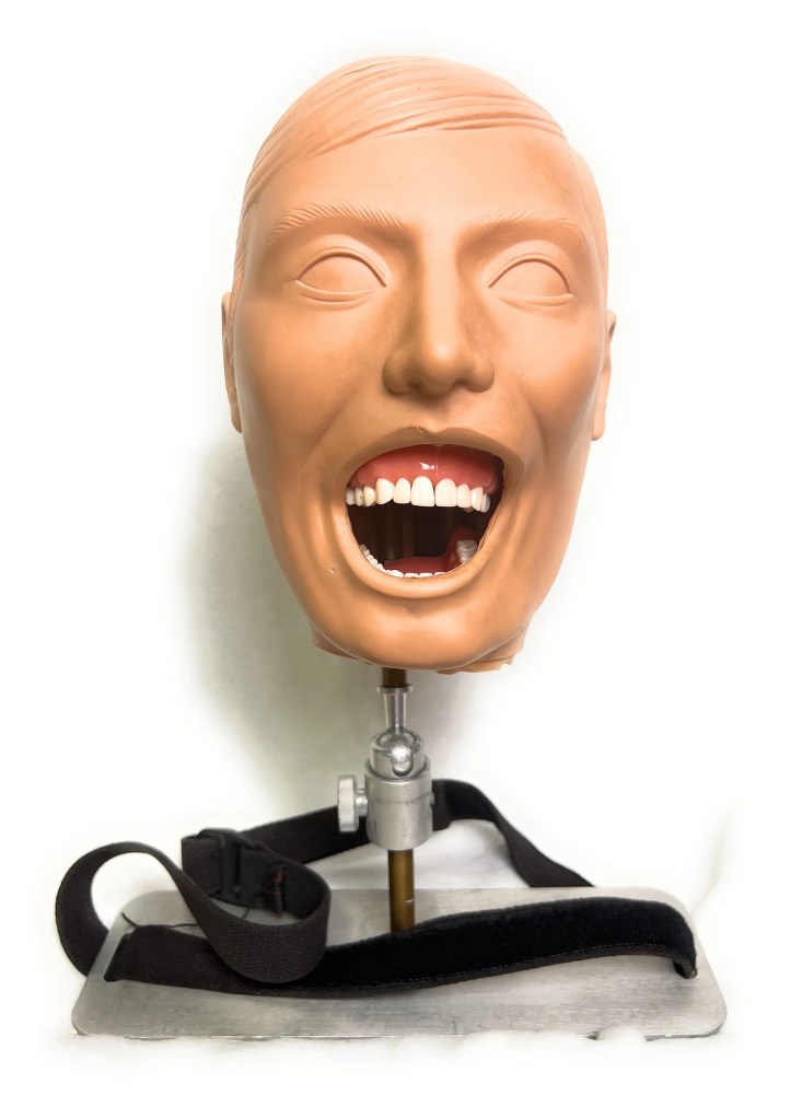 Dental Phantoms, Tooth Horror, and Medical Simulation – Drawing Blood ...